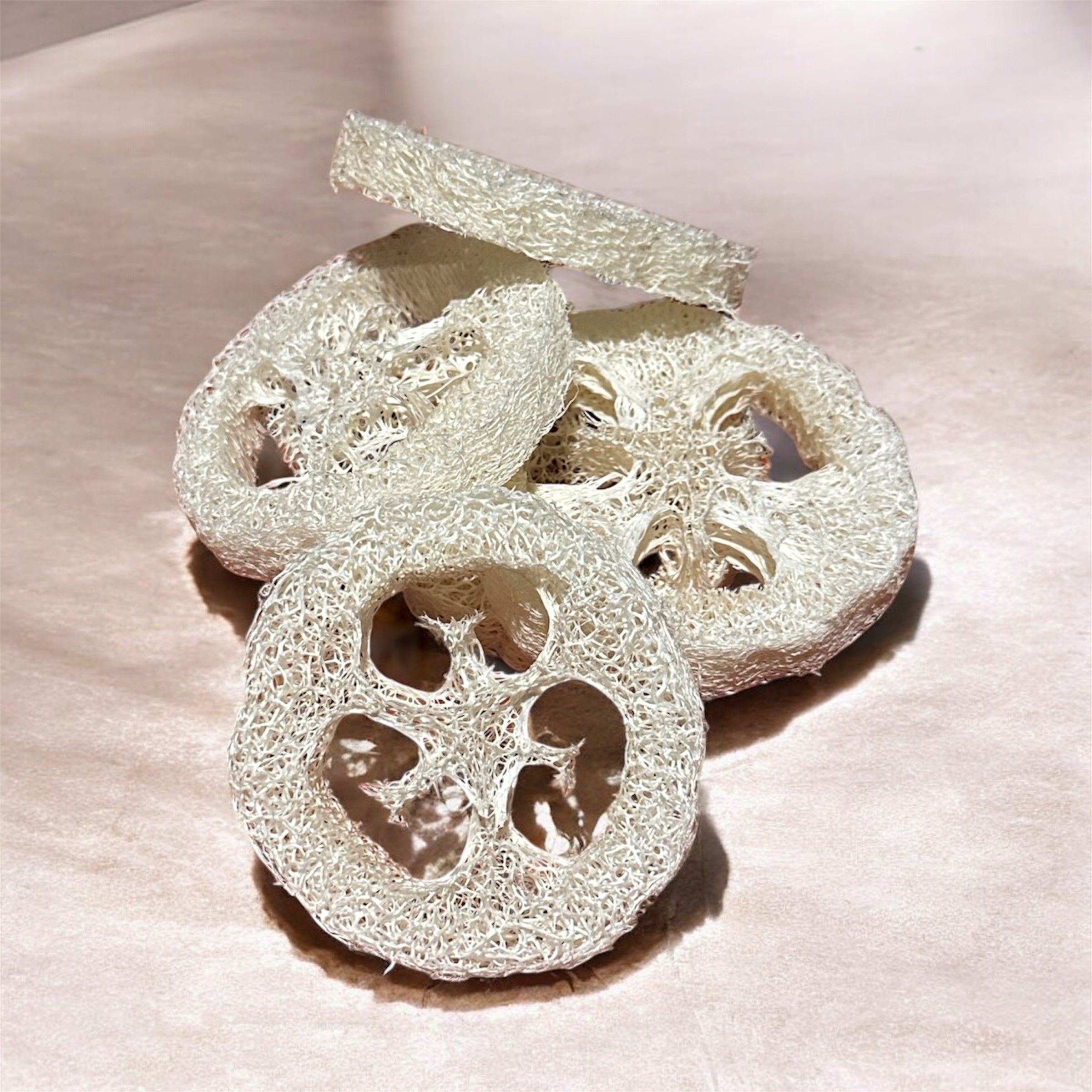 Natural Loofa Rounds – Cdasoapco